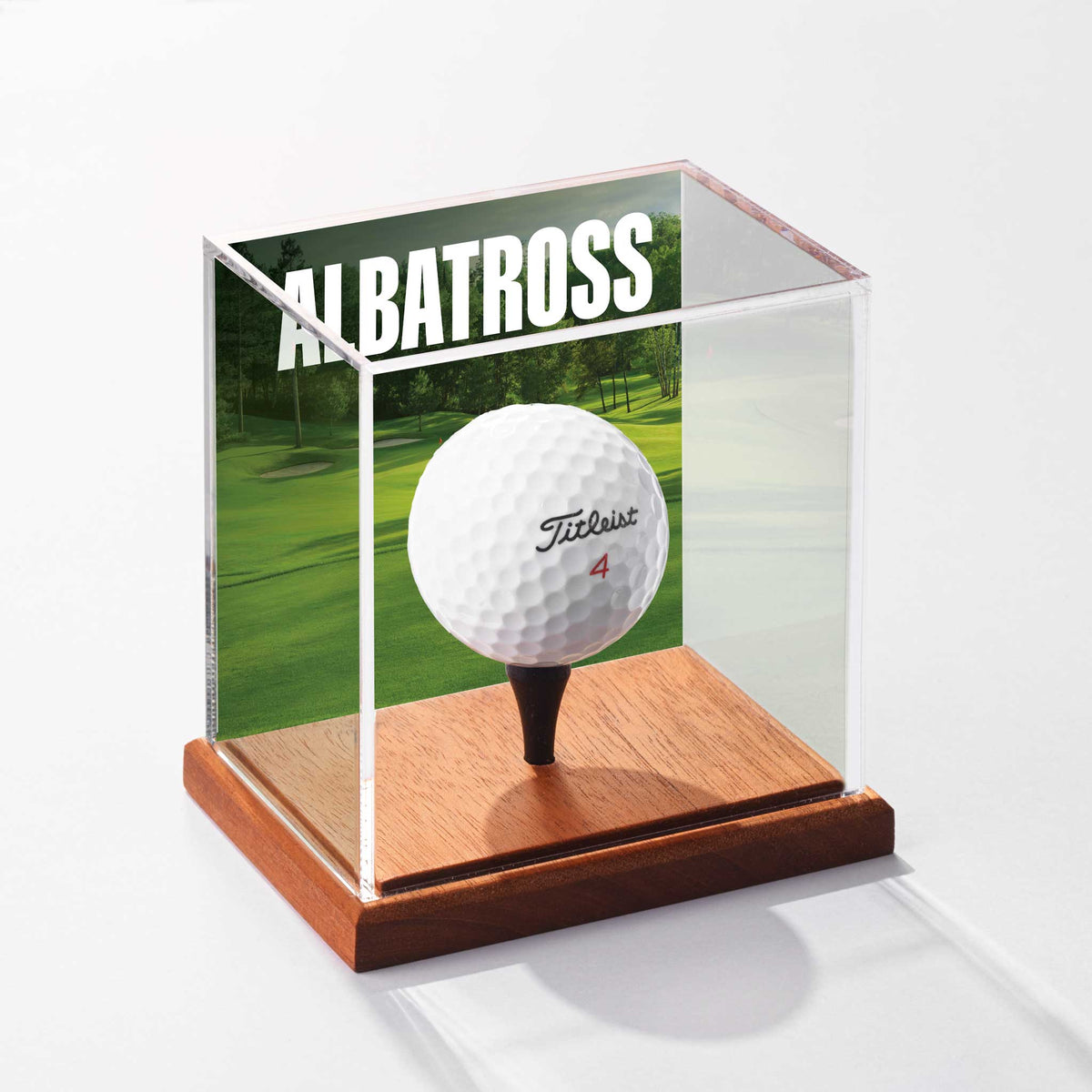 The Heritage Hardwood 'Albatross Edition' Golf Ball Display Case ...