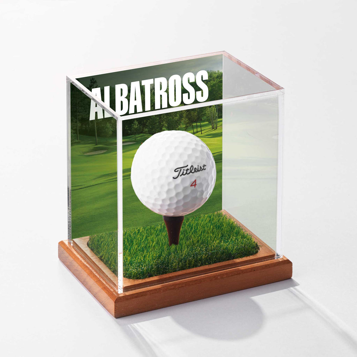 The Prestige Hardwood 'Albatross Edition' Golf Ball Display Case ...