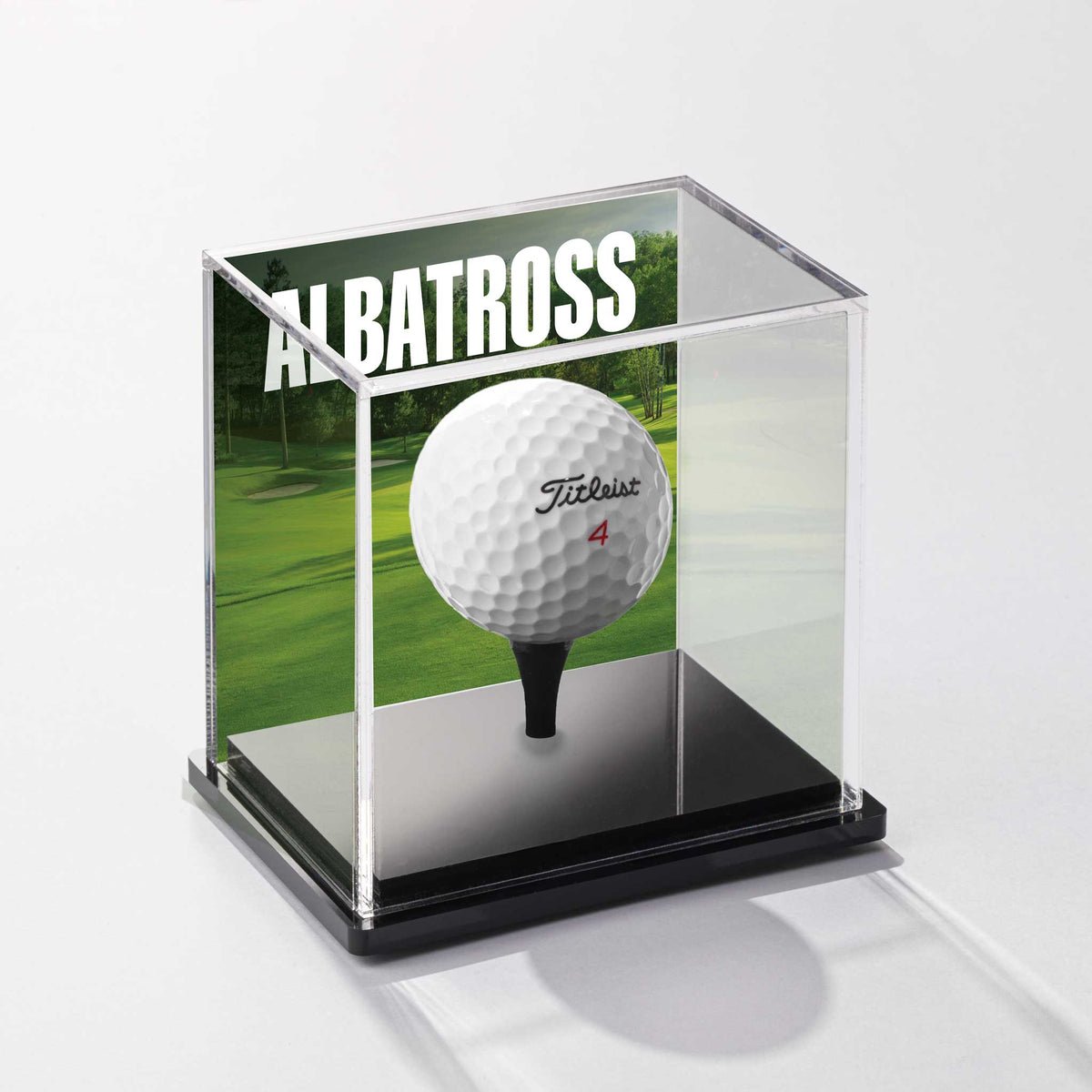 The Icon 'Albatross Edition' Golf Ball Display Case – Display Champ