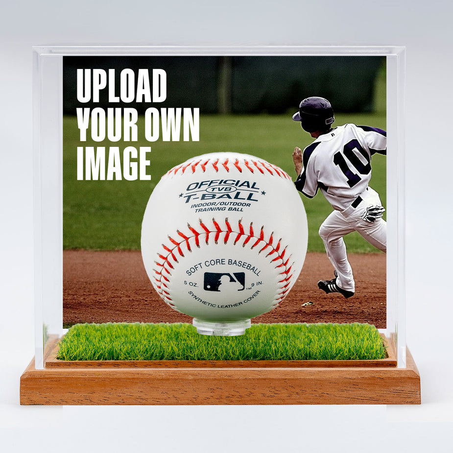 Baseball – Display Champ